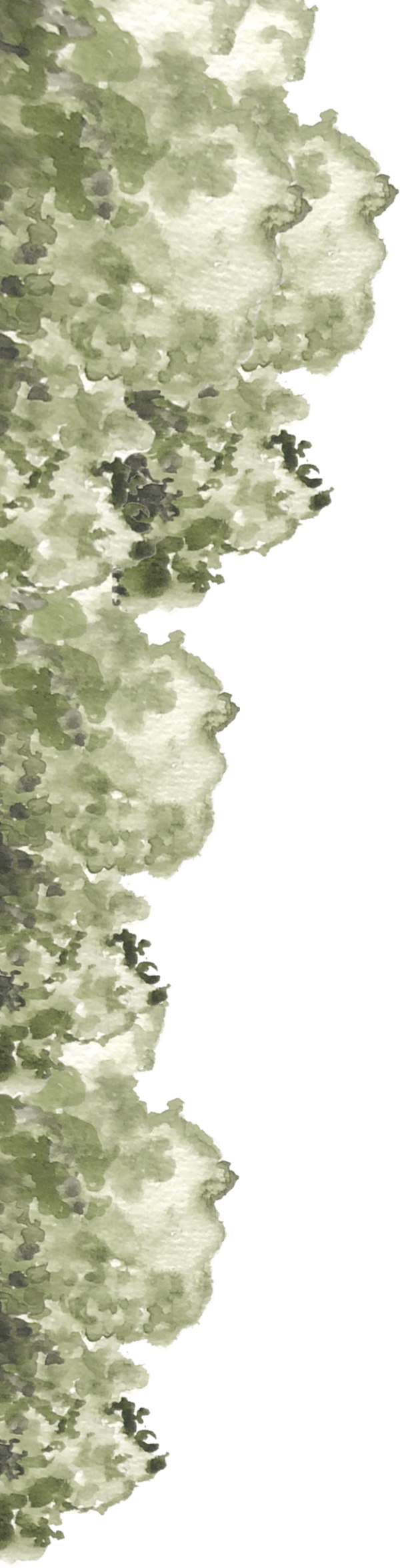 Serene Sanctuary | Katsudoto