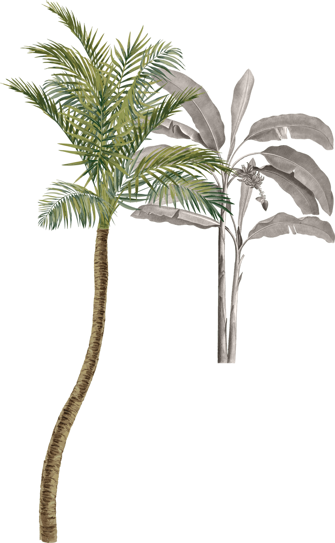 Ogik & Taty | Katsudoto