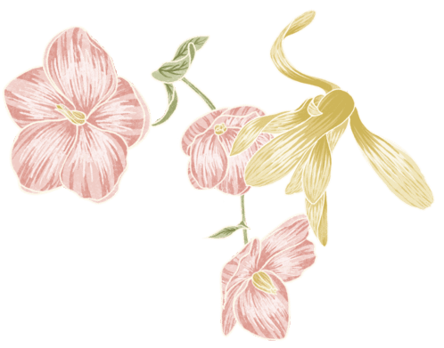 Tria & Reza | Katsudoto